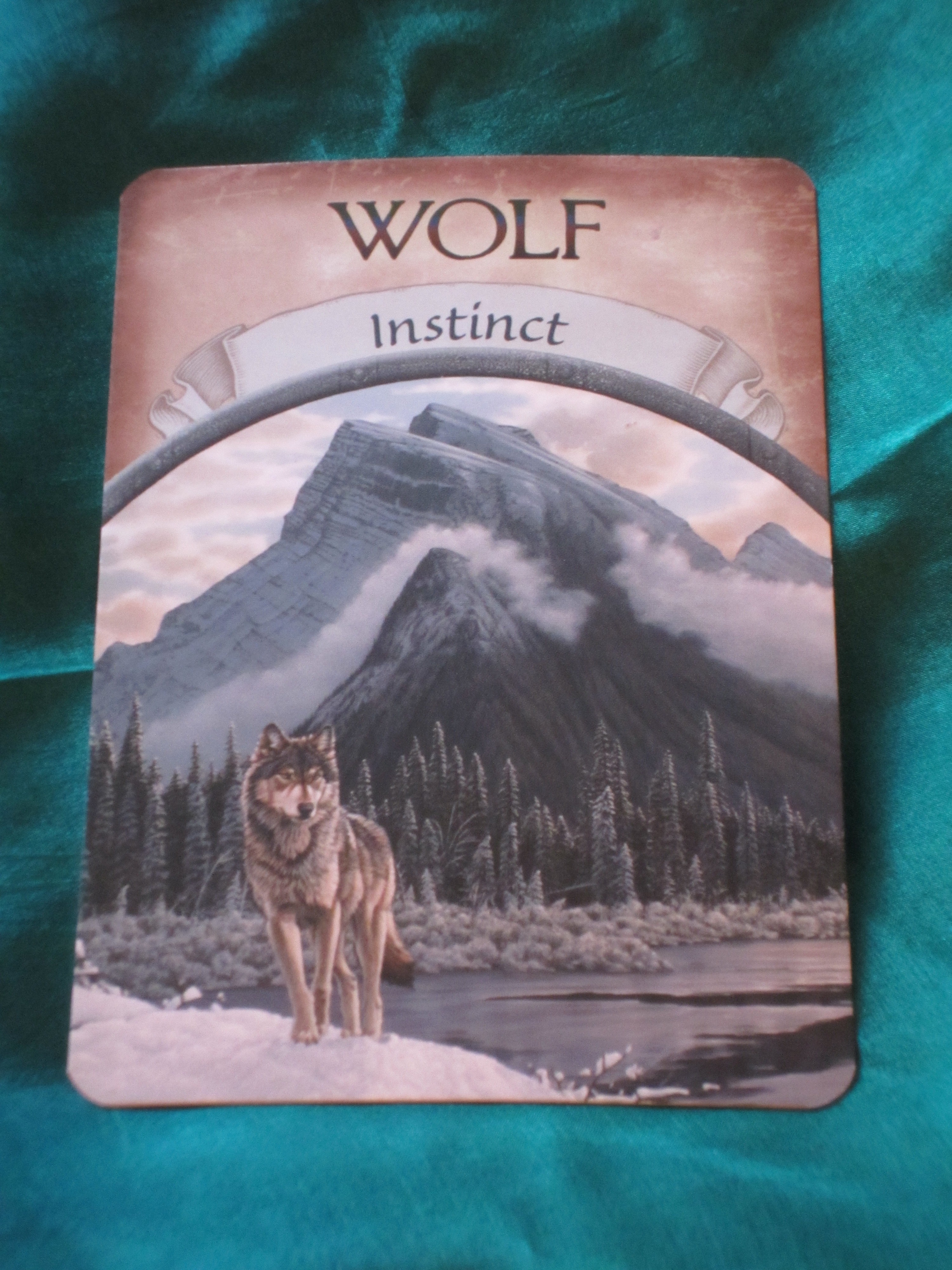 Oracle Card Reading for Friday! | Daily Tarot Girl Oracle Card Reading for Friday! | Daily Tarot Girl